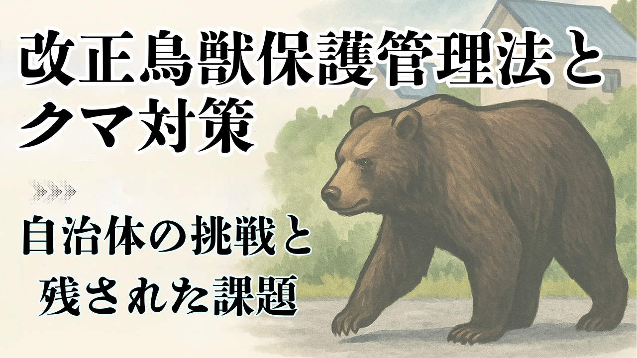 【2025】北海道で広がるクマ出没──最新の動向と法改正から見える課題 | Berry bit